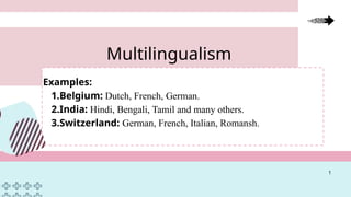 COMMON-LANGUAGE-VS.-MULTILINGUALISM.pptx