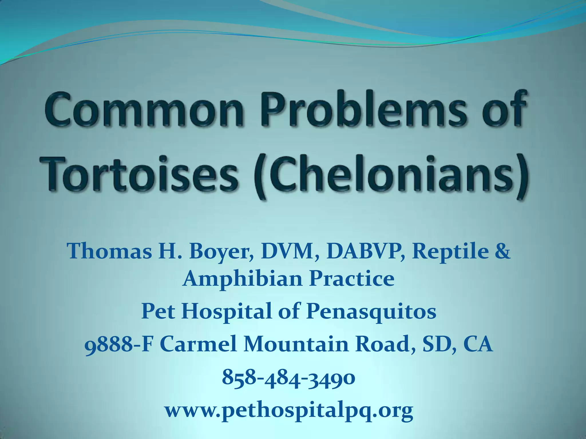 Common Problems of Tortoises SDT&TS | PPTX