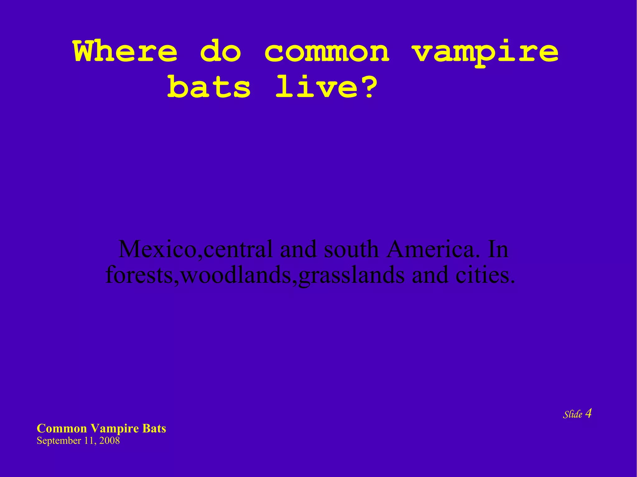 Common Vampire Bats by Thomas | ODP | Reptiles | Pets