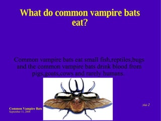 Common Vampire Bats by Thomas | ODP | Reptiles | Pets