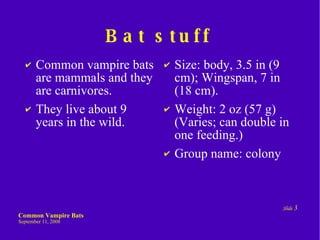 Common Vampire Bats by Thomas | ODP | Reptiles | Pets