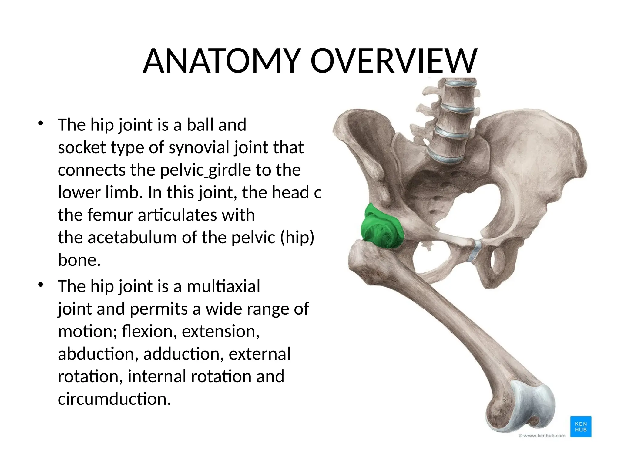 COMMON ACUTE AND OVERUSE INJURIES OF HIP JOINT.pptx