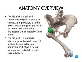 COMMON ACUTE AND OVERUSE INJURIES OF HIP JOINT.pptx