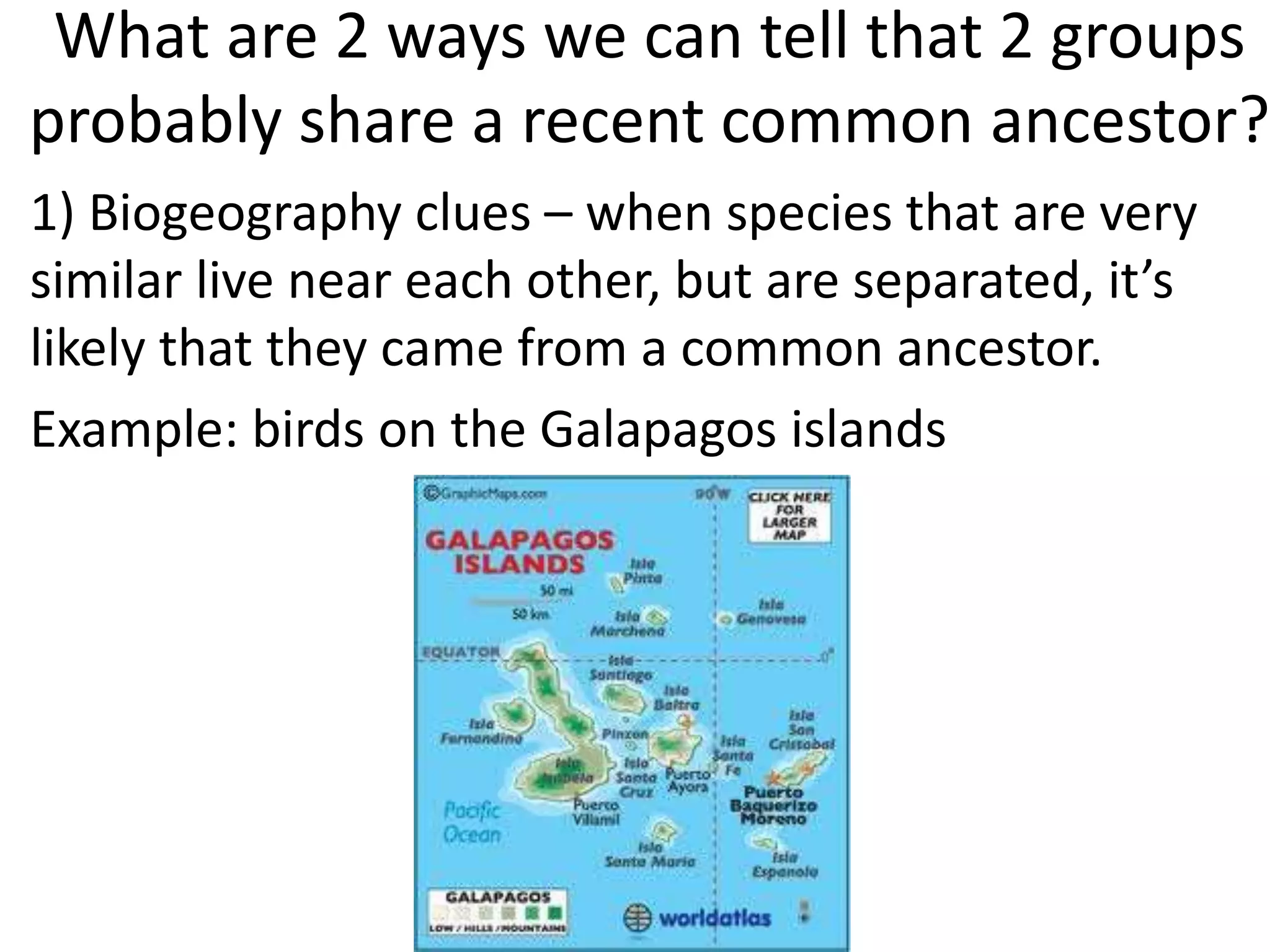 Common ancestors | PPTX