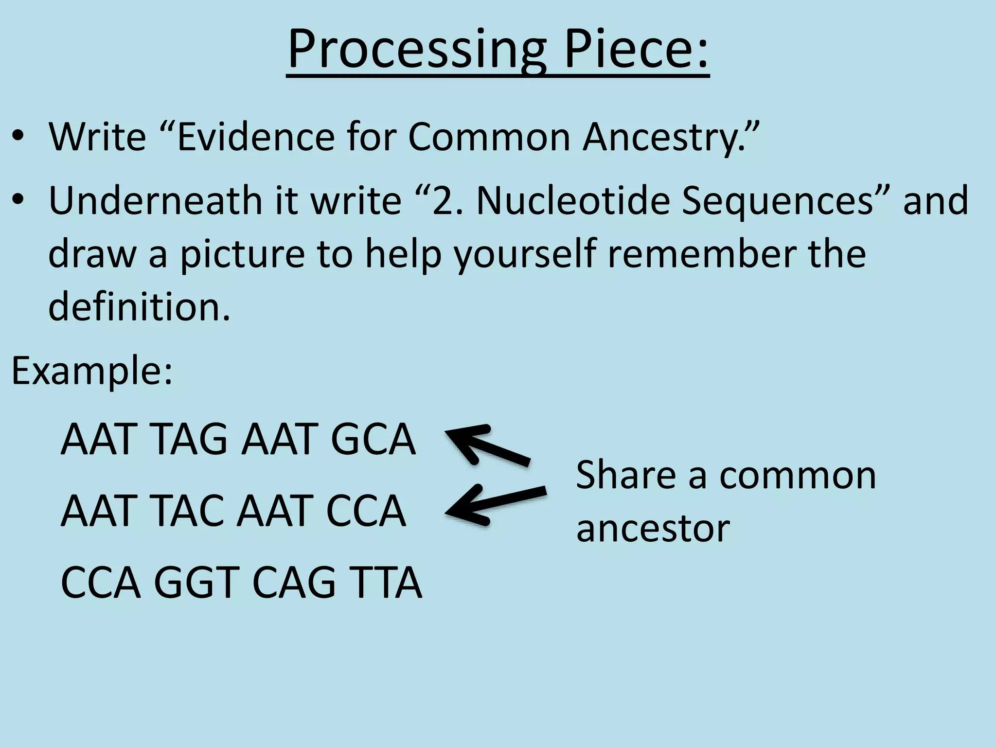 Common ancestors | PPTX