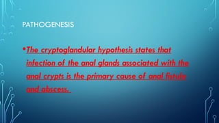 common anorectal diseases (hemorrhoids, anal fissure, rectal prolapse ...