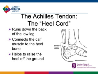 Common Athletic Injuries of the Ankle | PPTX