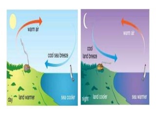 Common atmospheric phenomena | PPTX