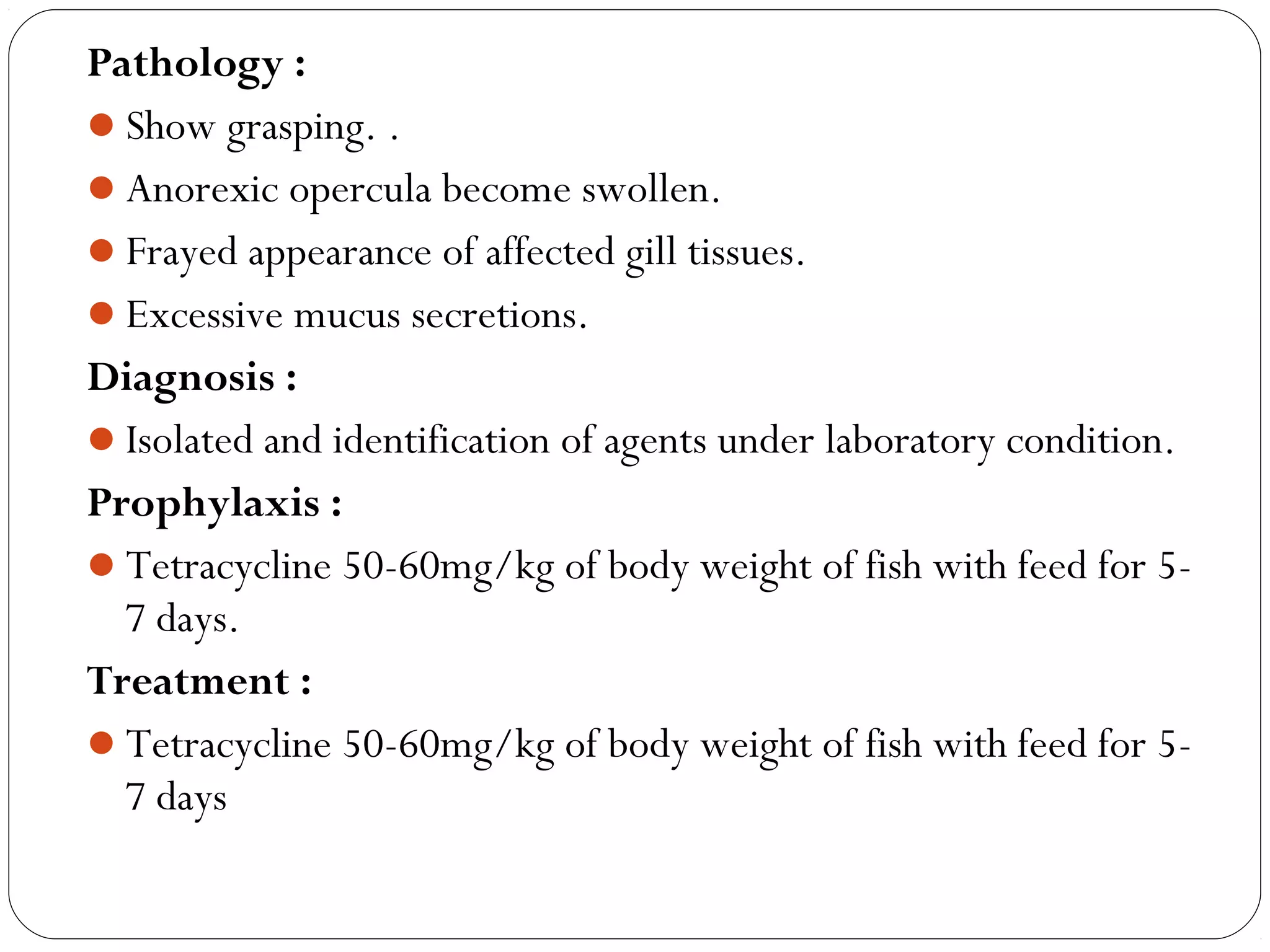 Common bacterial disease of fish and shrimp in bangladesh | PPT