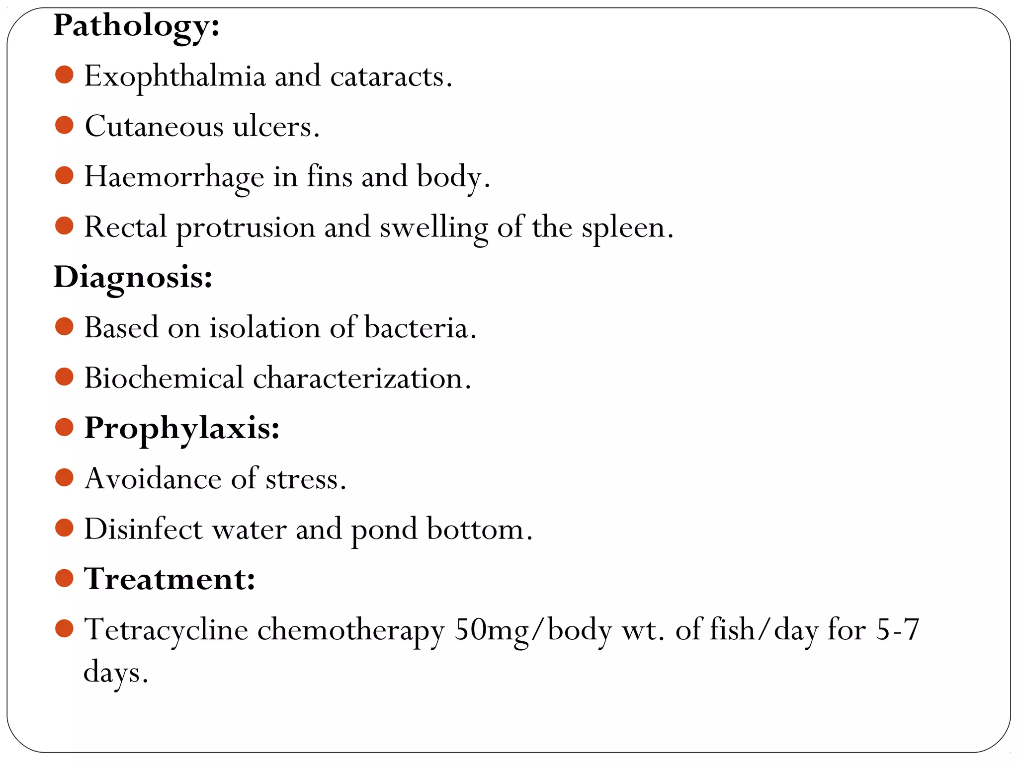 Common bacterial disease of fish and shrimp in bangladesh | PPT
