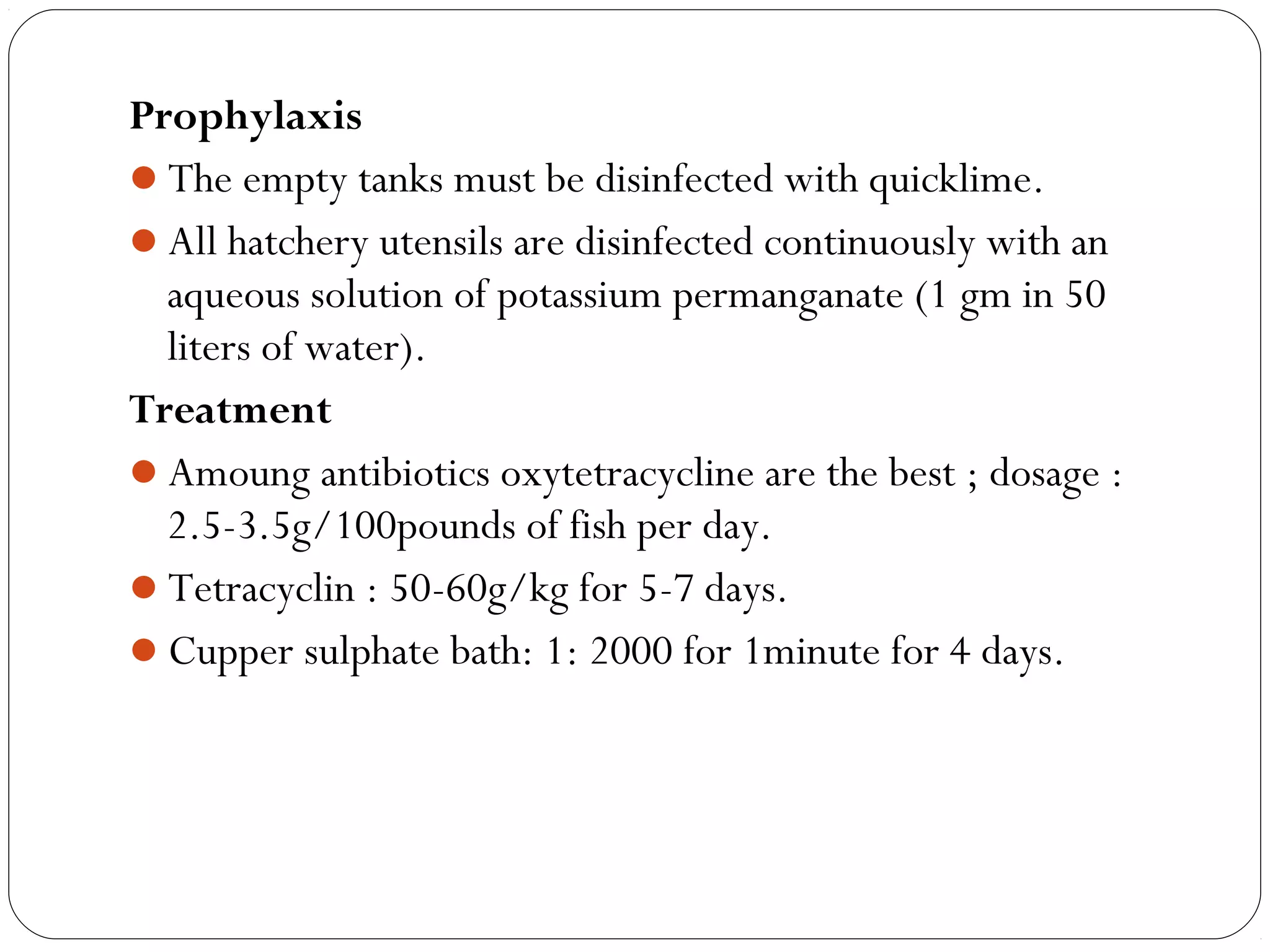 Common bacterial disease of fish and shrimp in bangladesh | PPT