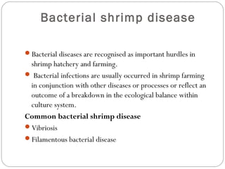 Common bacterial disease of fish and shrimp in bangladesh | PPT