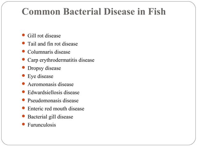Common bacterial disease of fish and shrimp in bangladesh | PPT
