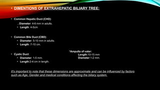 Common Bile duct injuries and their management (Recent guidelines 2022 ...