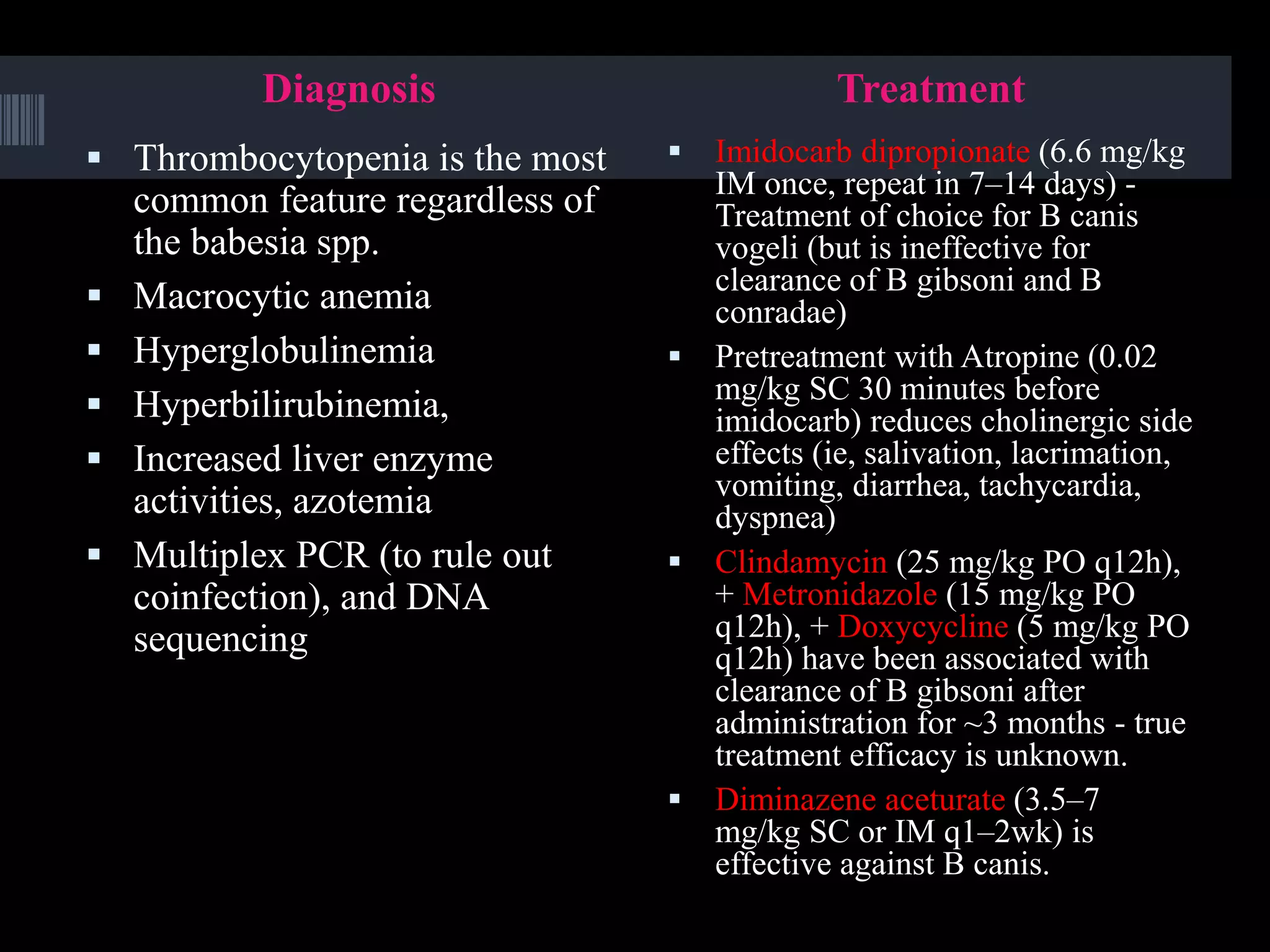 Common blood parasites in dogs | PPSX