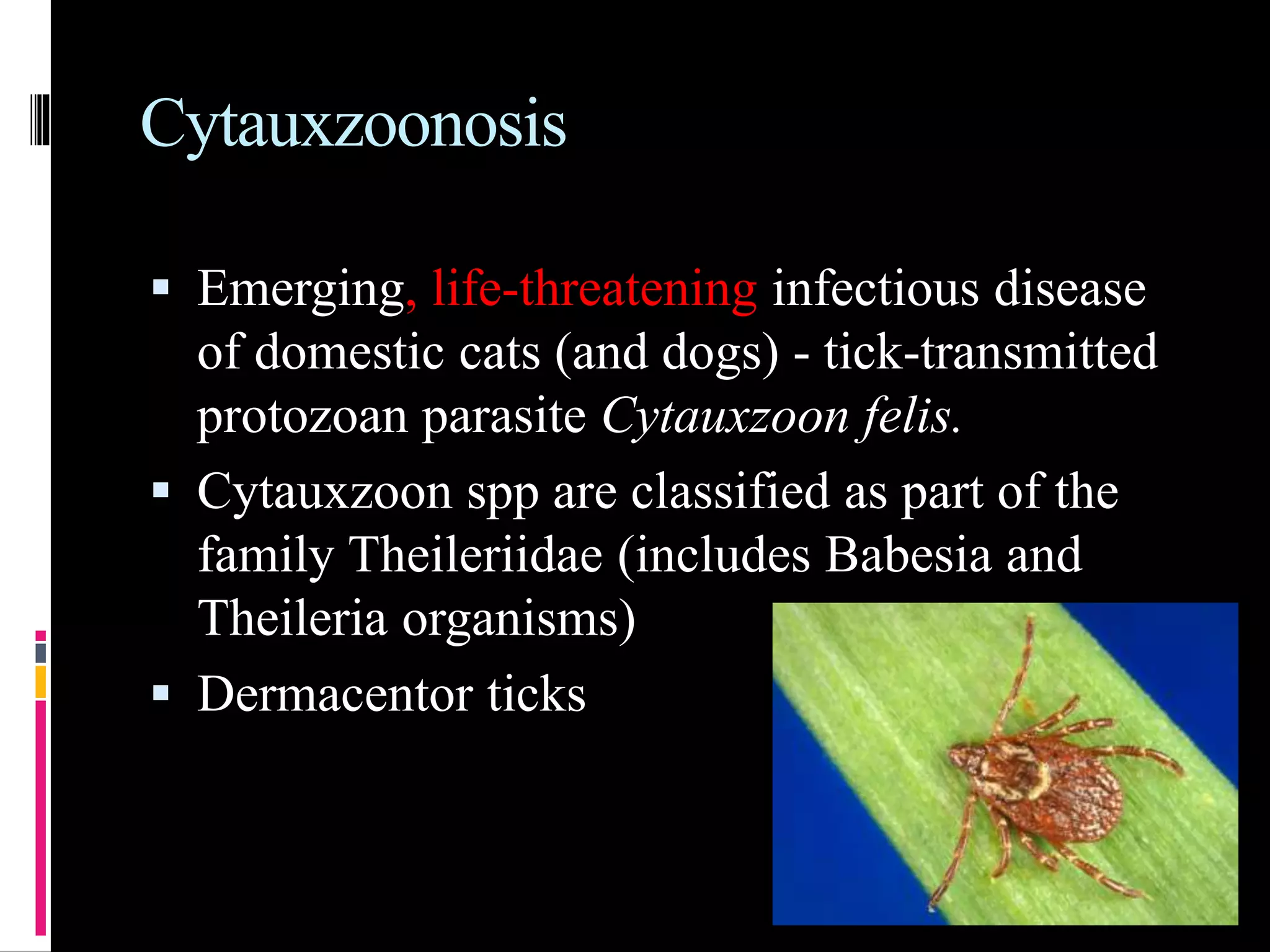Common blood parasites in dogs | PPSX