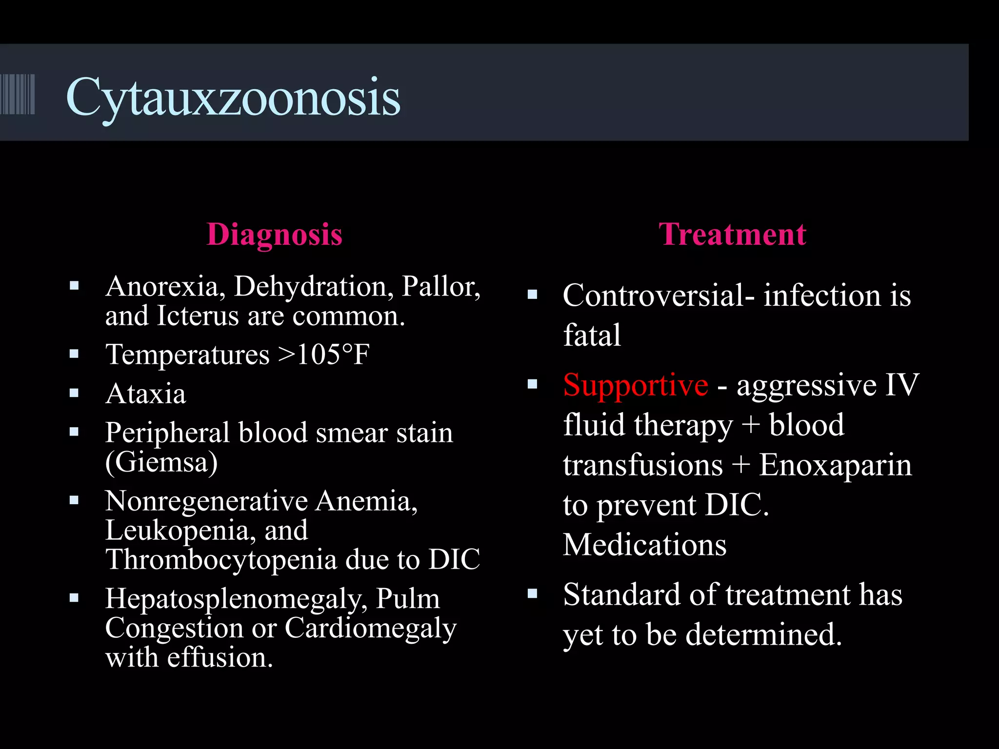 Common blood parasites in dogs | PPSX