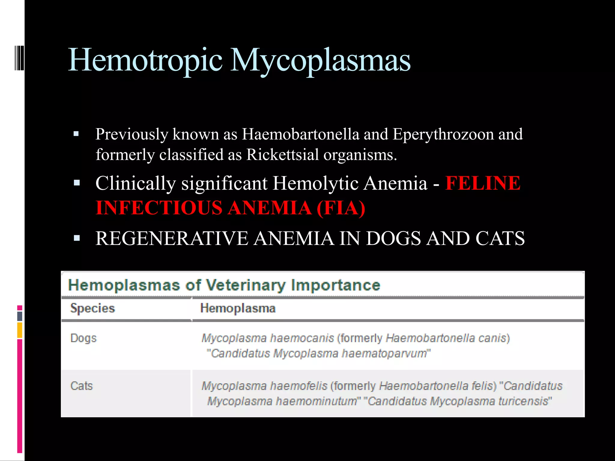 Common blood parasites in dogs | PPSX