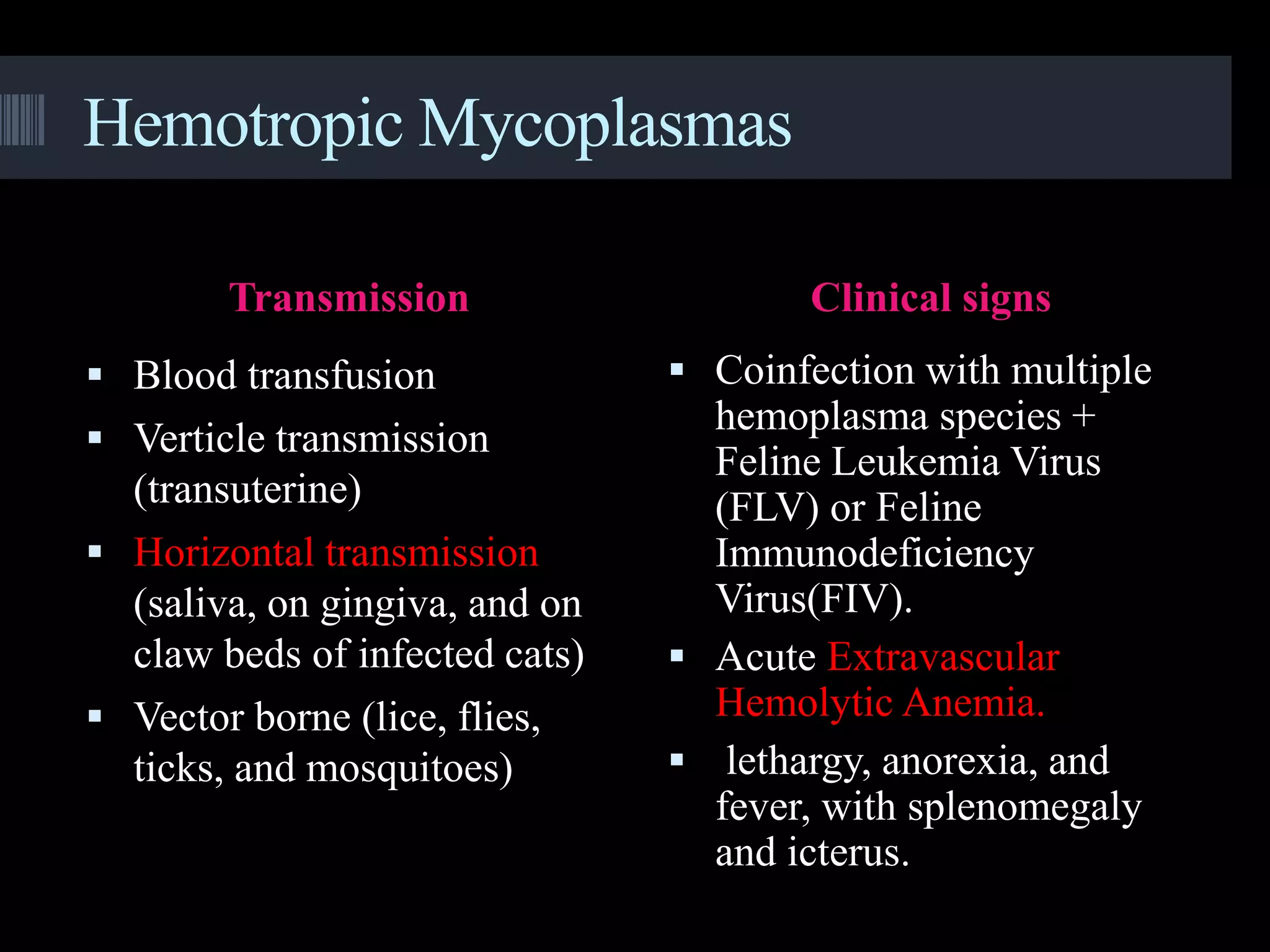 Common blood parasites in dogs | PPSX