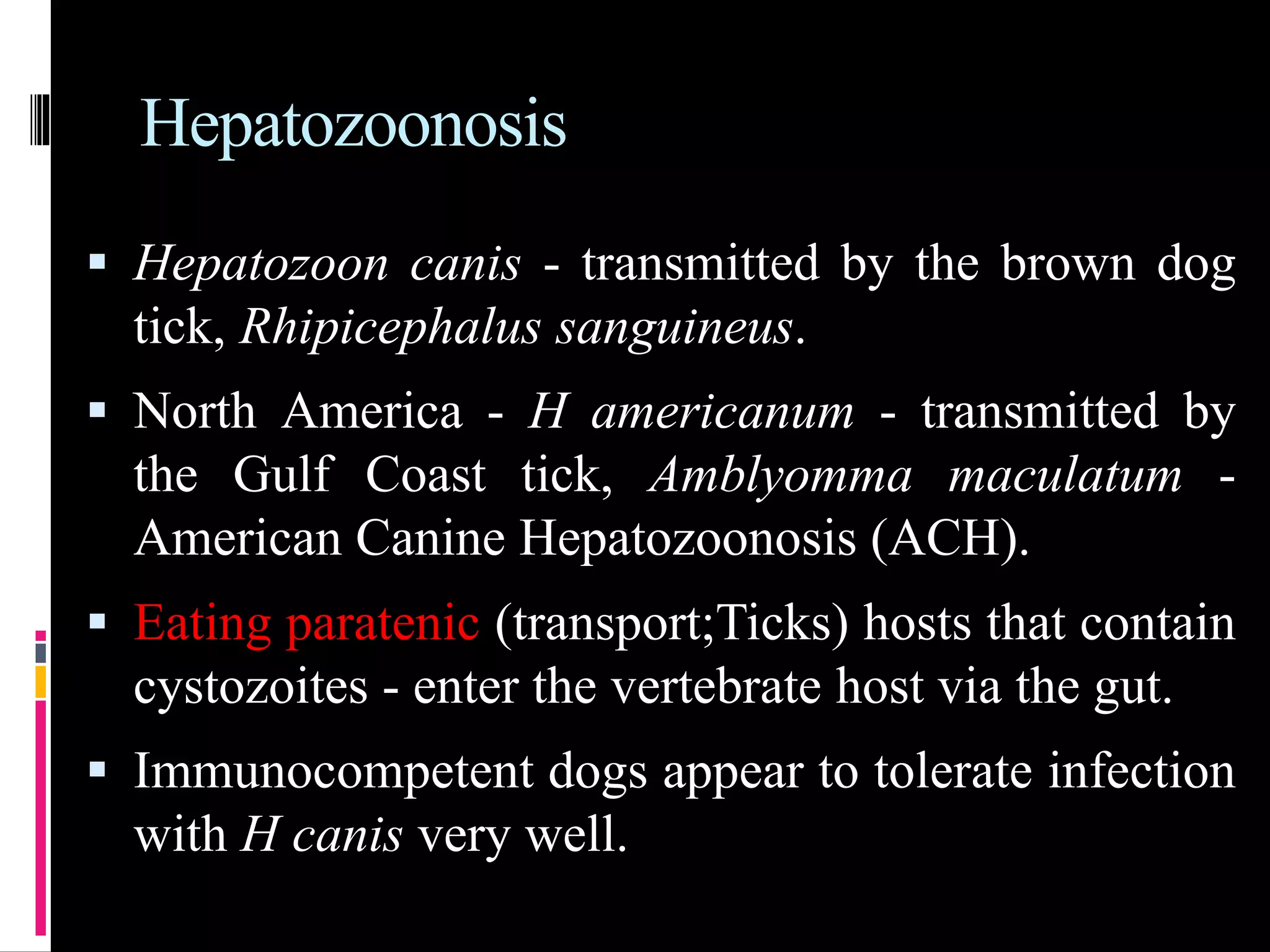 Common blood parasites in dogs | PPSX