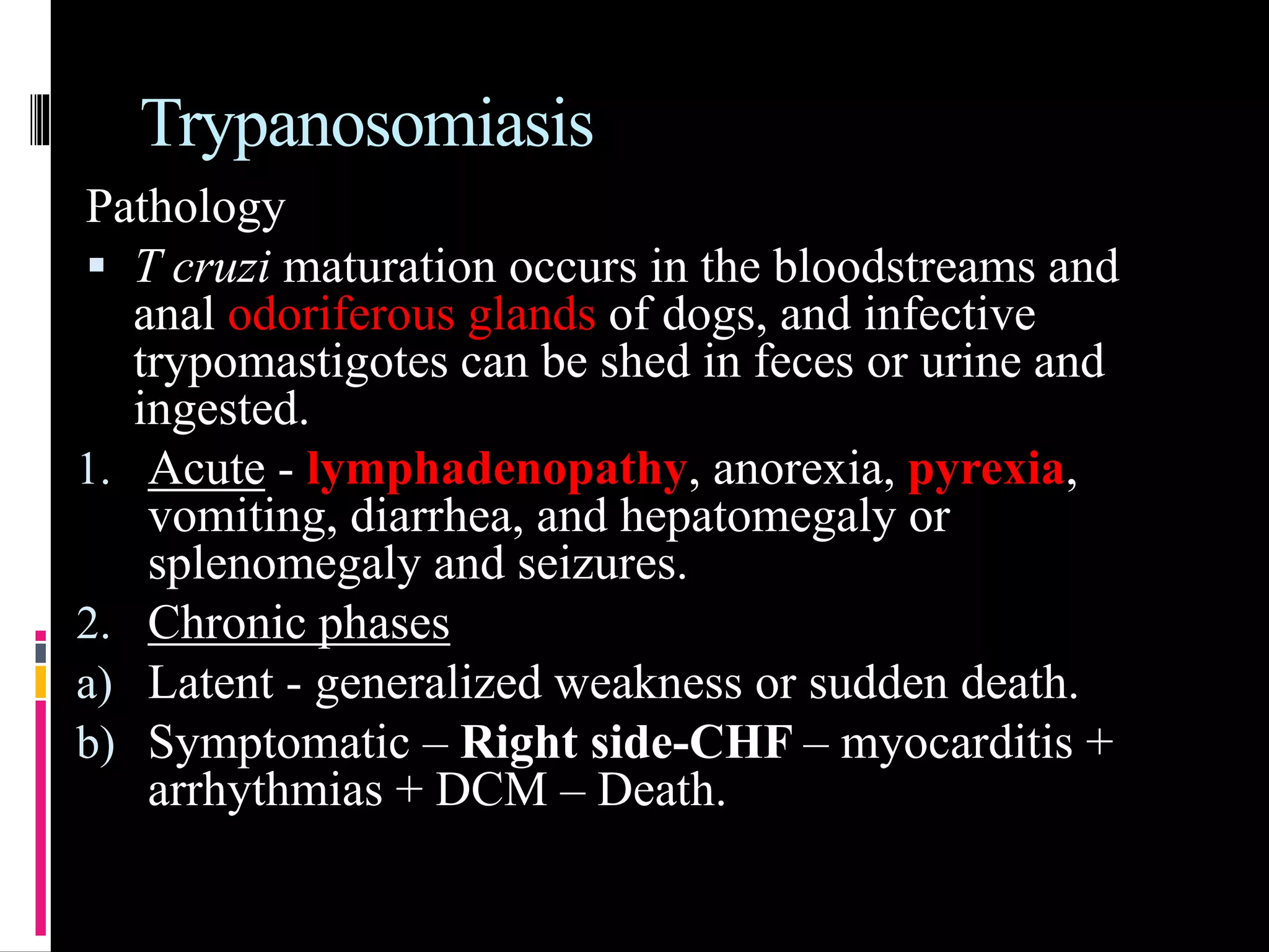 Common blood parasites in dogs | PPSX