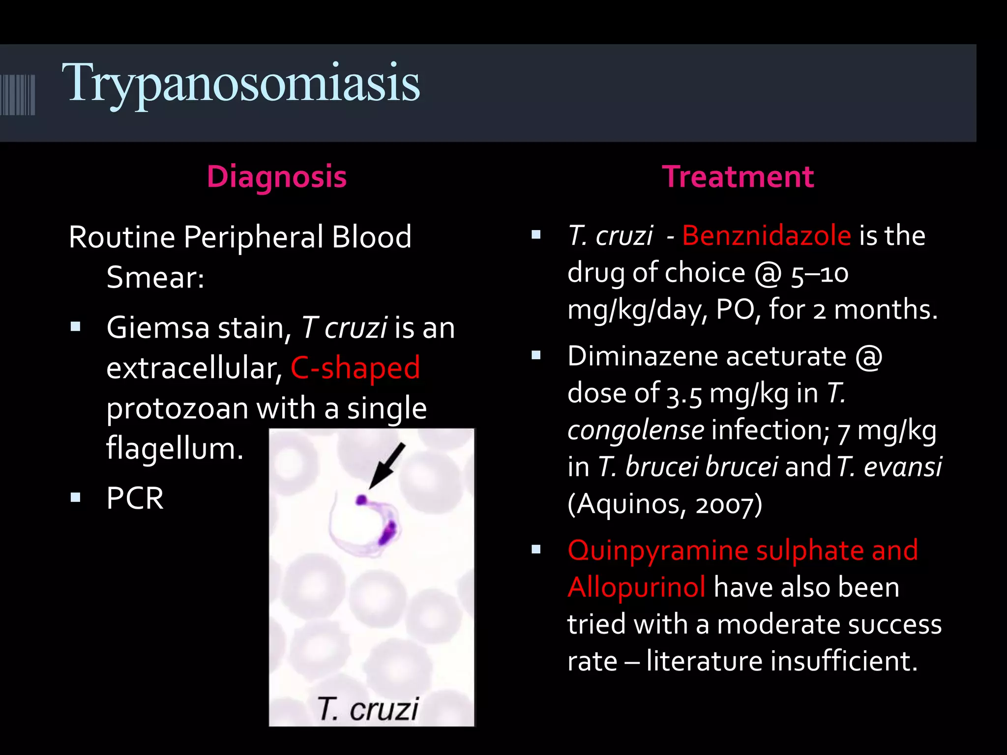 Common blood parasites in dogs | PPSX