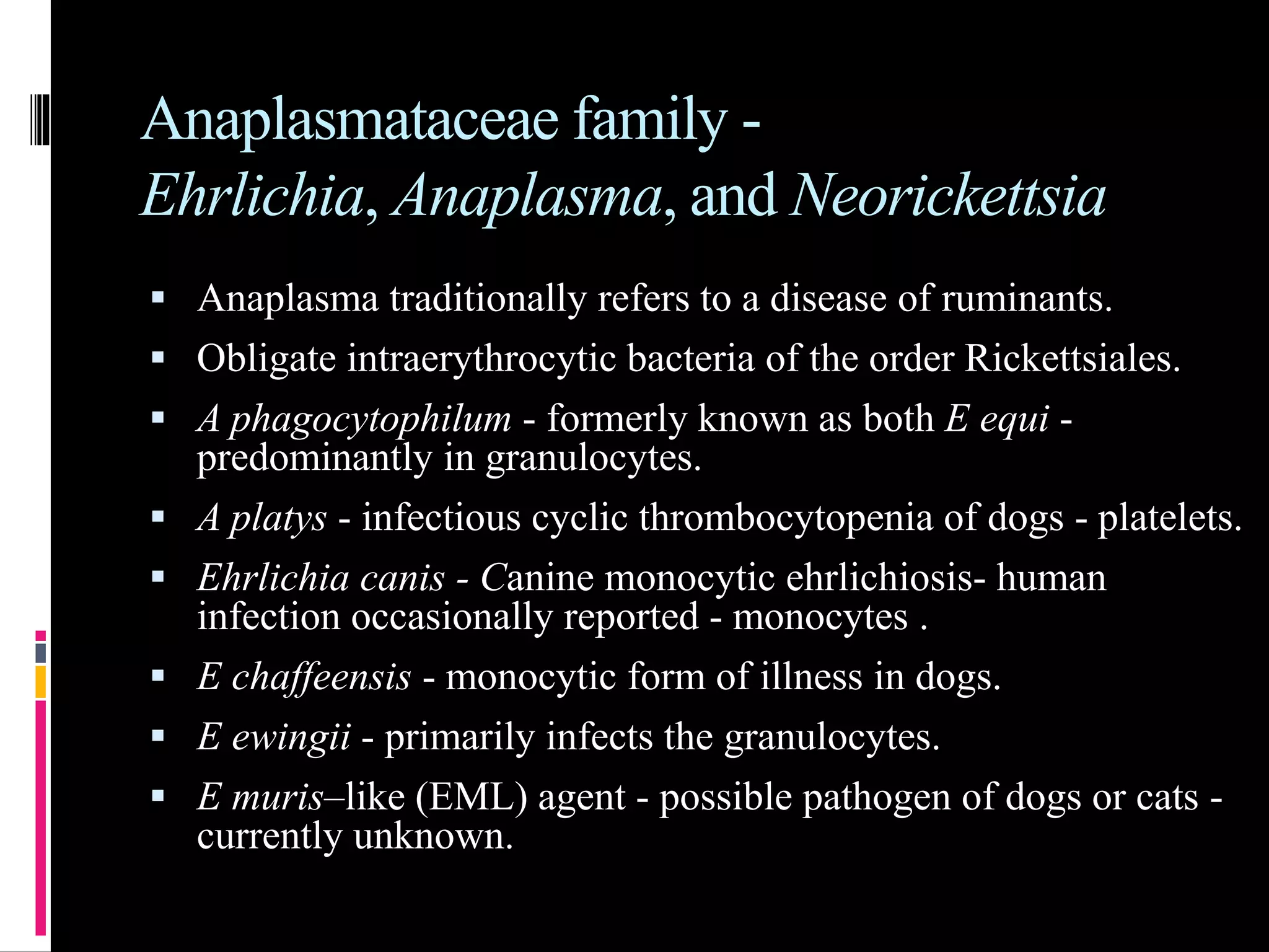 Common blood parasites in dogs | PPSX