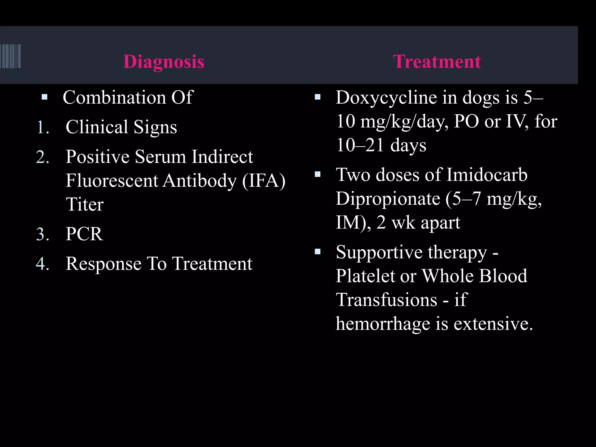 Common blood parasites in dogs | PPSX