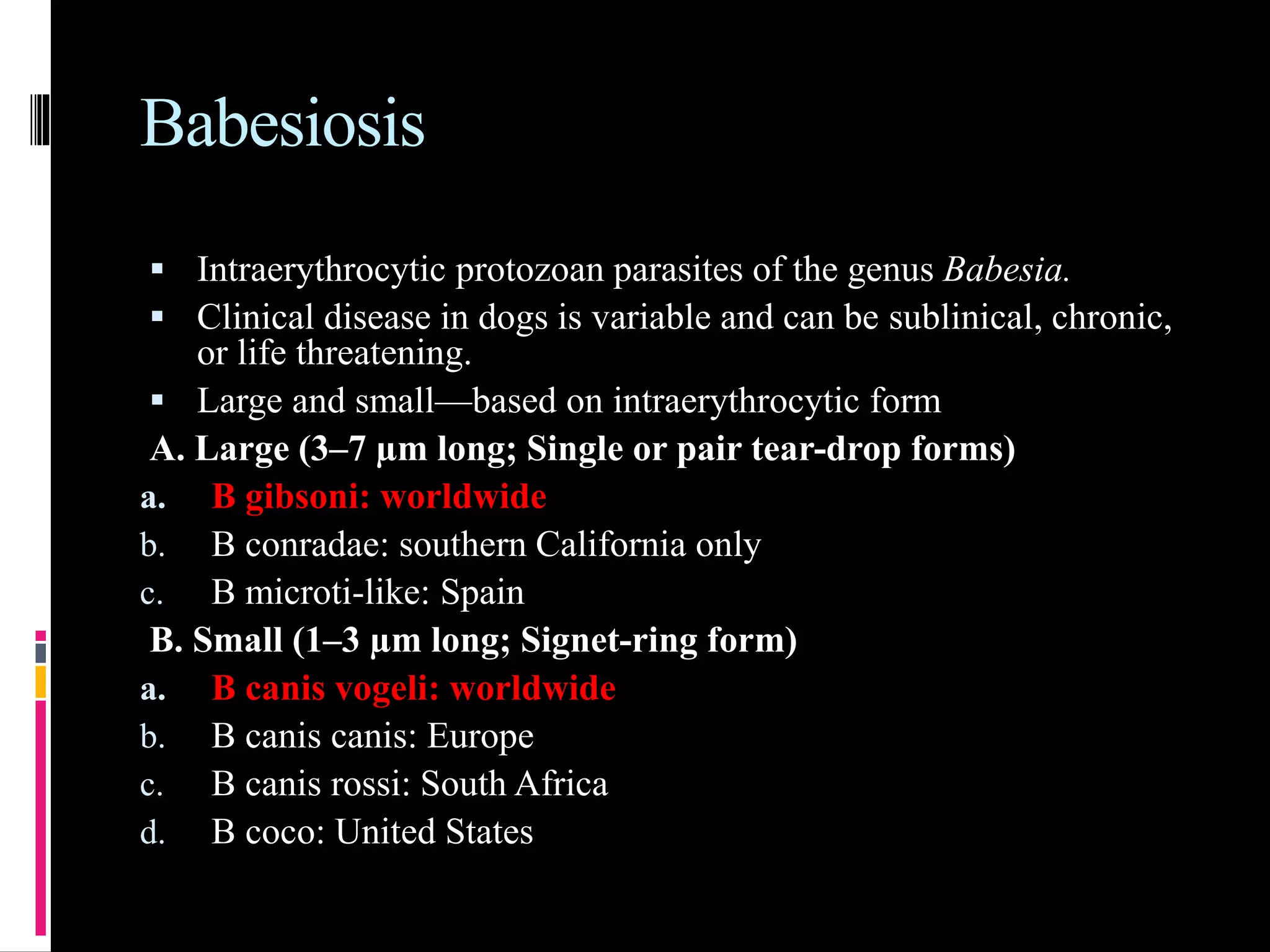 Common blood parasites in dogs | PPSX