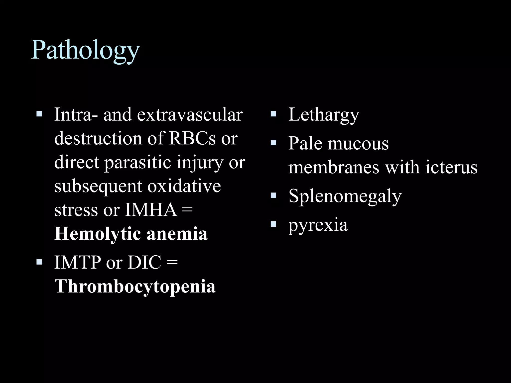 Common blood parasites in dogs | PPSX
