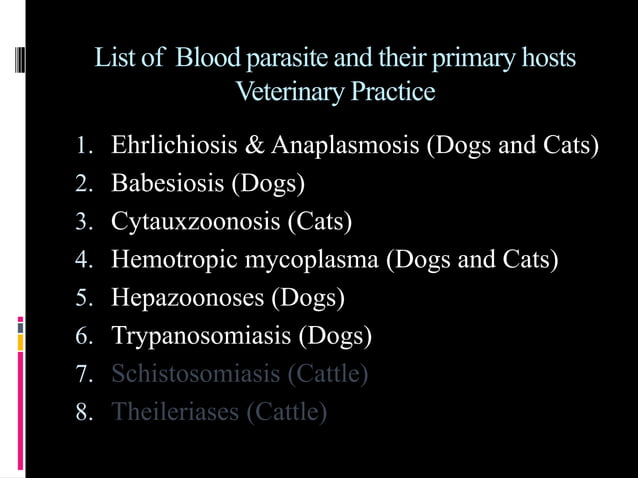 Common blood parasites in dogs | PPSX | Blood Disorders | Diseases and ...