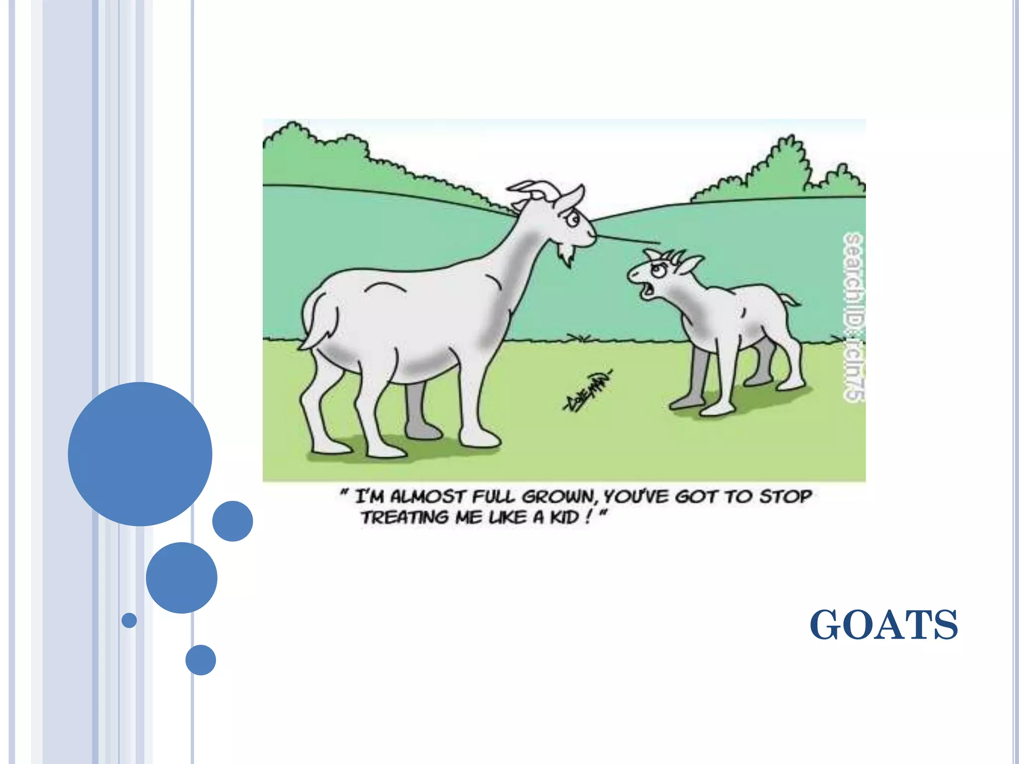 Goats | PPT