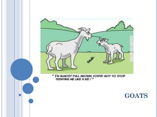 Goats | PPT