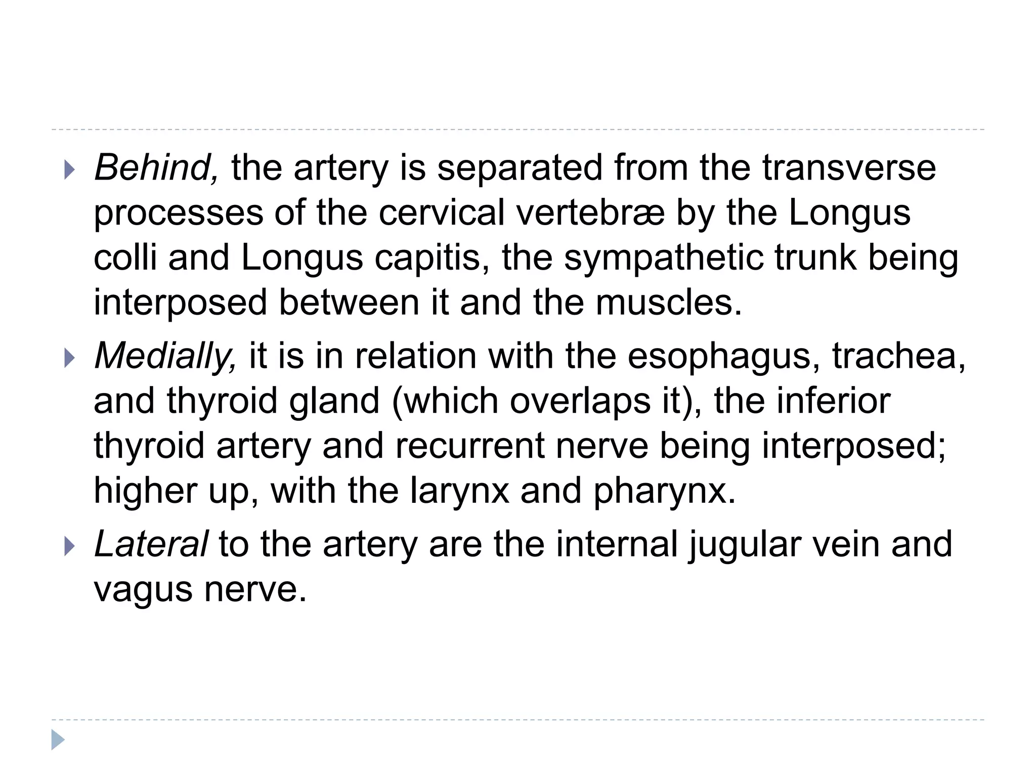 Common carotid artery | PPTX