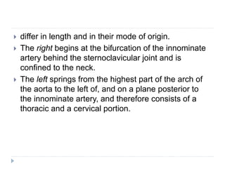 Common carotid artery | PPTX