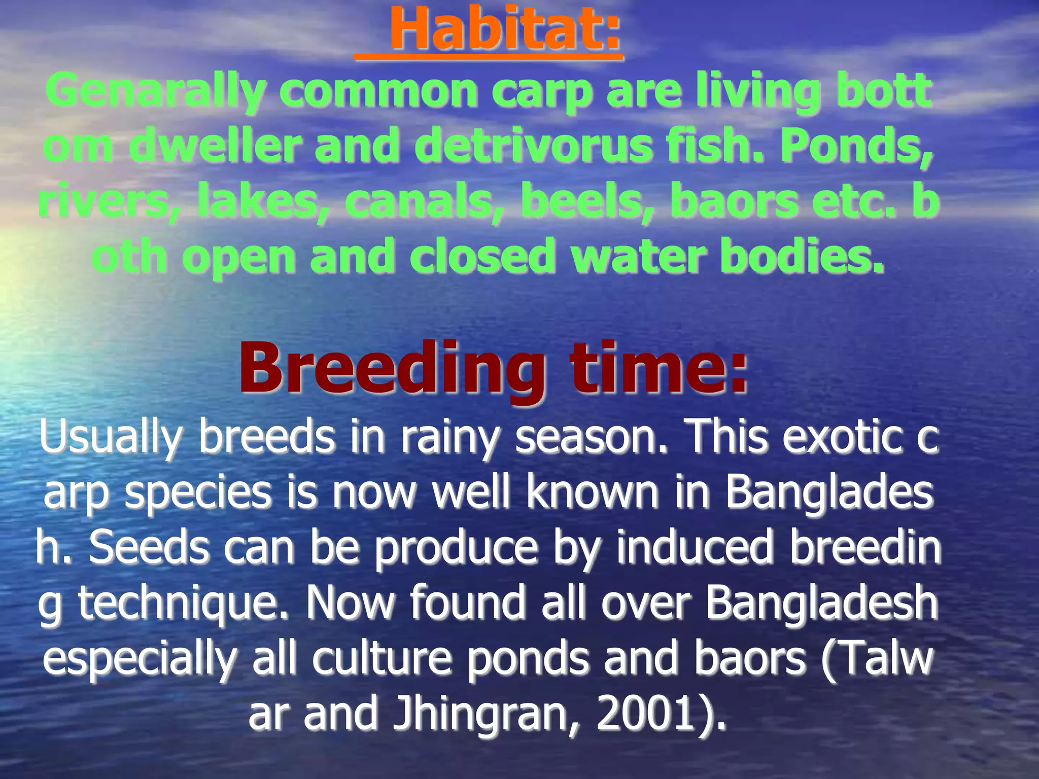 Common carp(cyprinus carpio)freshwater fish,bangladesh | PPTX