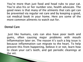 Common cat illnesses | PPTX | Cats | Pets