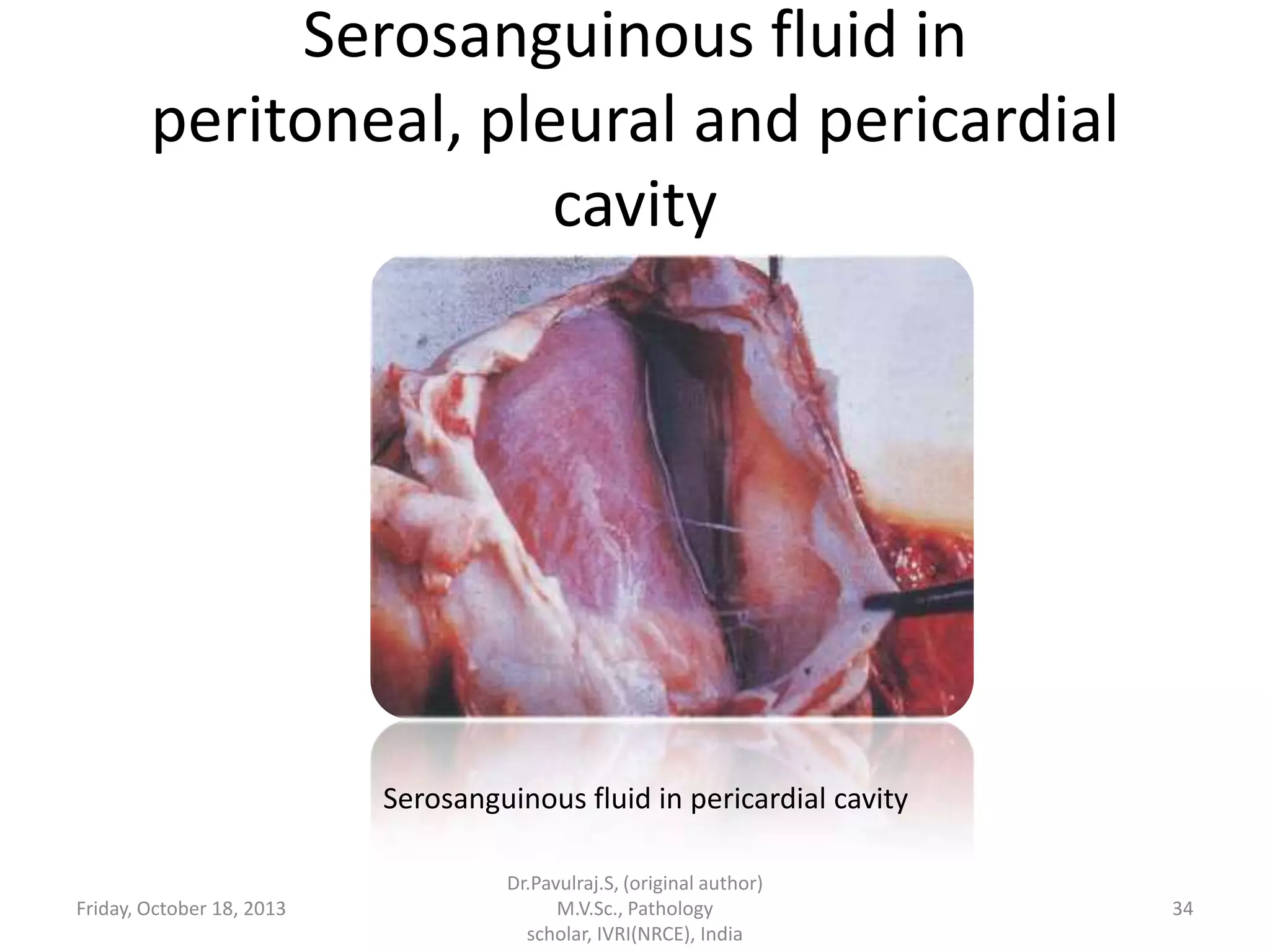 Common cattle diseases by Dr.Pavulraj.S, M.V.Sc., Pathology scholar ...