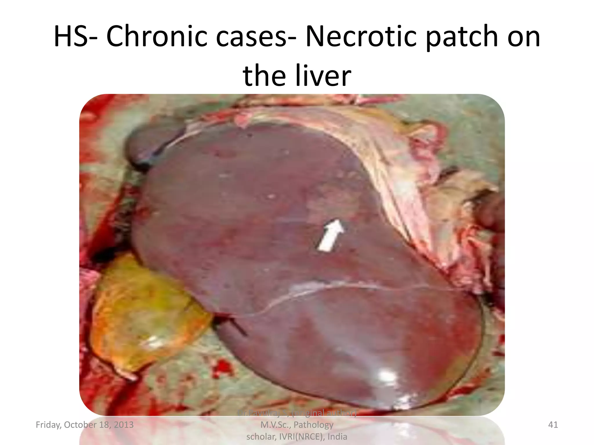 Common cattle diseases by Dr.Pavulraj.S, M.V.Sc., Pathology scholar ...