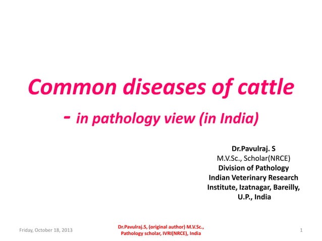 Common Cattle Diseases By Drpavulrajs Mvsc Pathology Scholar Ivri Nrce India Ppt