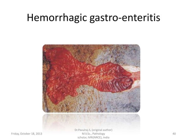 Common cattle diseases by Dr.Pavulraj.S, M.V.Sc., Pathology scholar ...