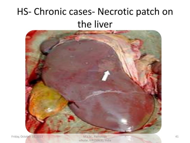 Common cattle diseases by Dr.Pavulraj.S, M.V.Sc., Pathology scholar ...