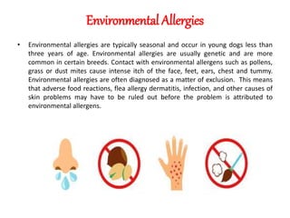 Common Causes of Skin Problems in Dogs | Dr Jennifer Creed | PPTX