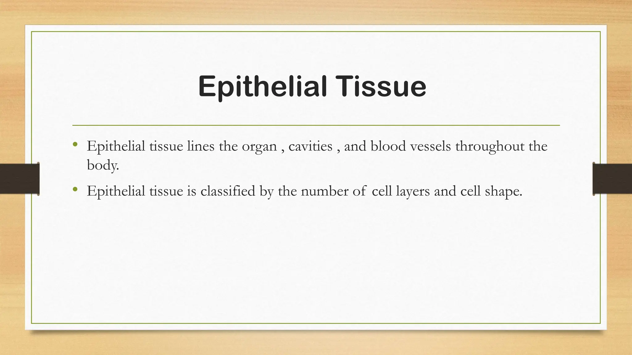 DIFFERENT TYPES OF CELL AND LAYERS IN BODY | PPTX