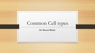 DIFFERENT TYPES OF CELL AND LAYERS IN BODY | PPTX