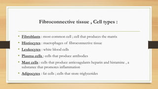 DIFFERENT TYPES OF CELL AND LAYERS IN BODY | PPTX