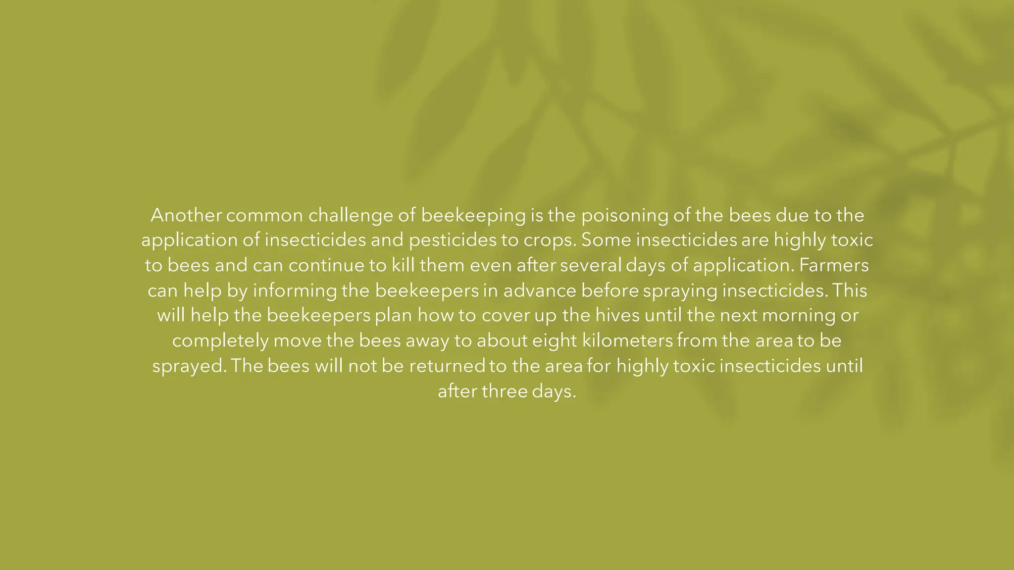 Common Challenges of Beekeeping | PDF
