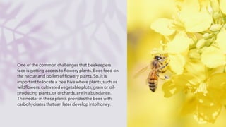 Common Challenges of Beekeeping | PDF