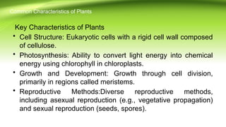 Common Characteristics of Animals and Plants for Classification.pptx