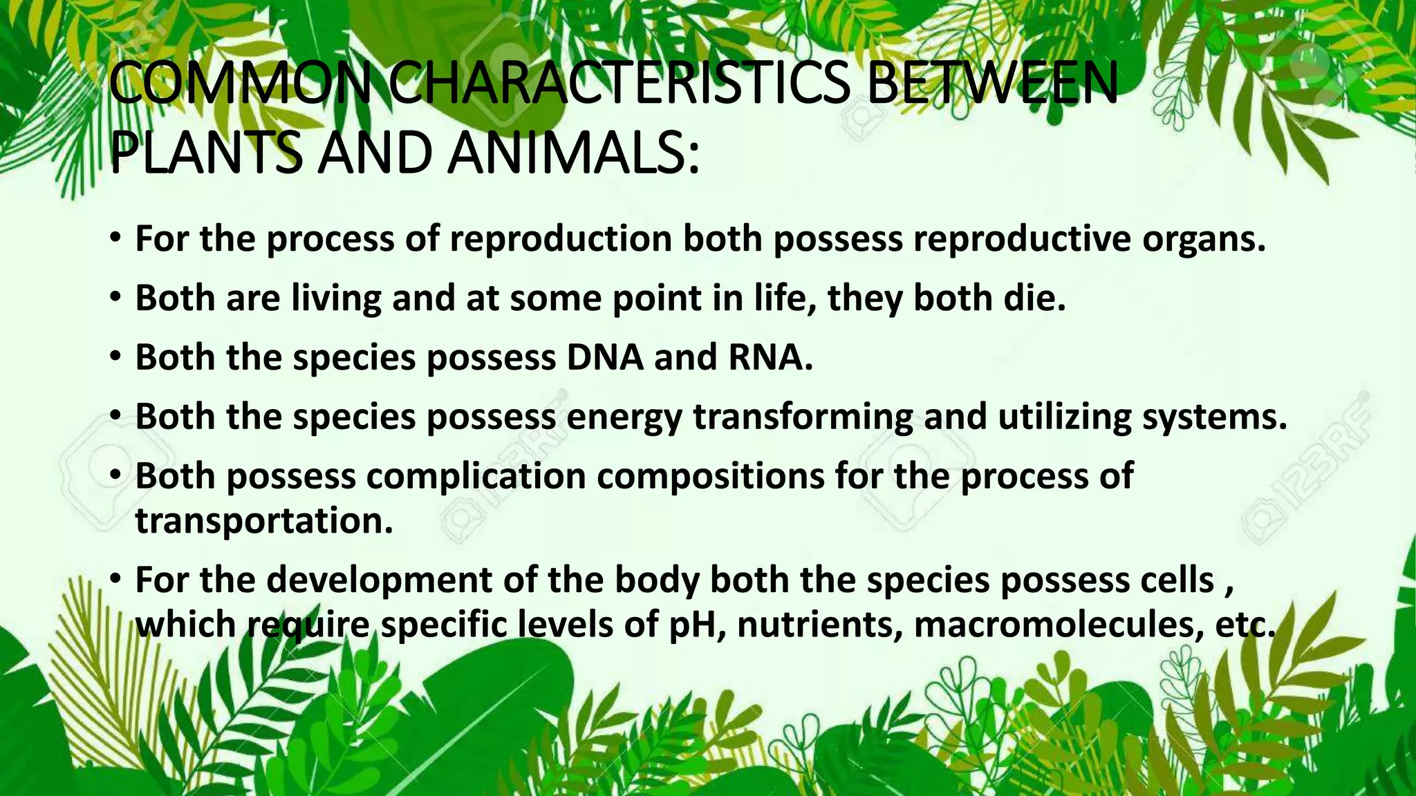 COMMON CHARACTERISTICS OF ANIMALS AND PLANTS FOR CLASSIFICATION(GRADE6.pptx